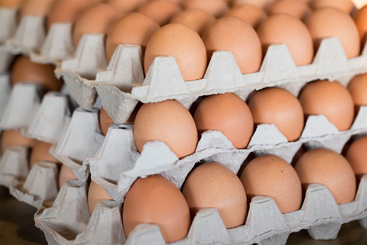 Egg Packaging Automation | PacSmart™ Mark III | PASCO®