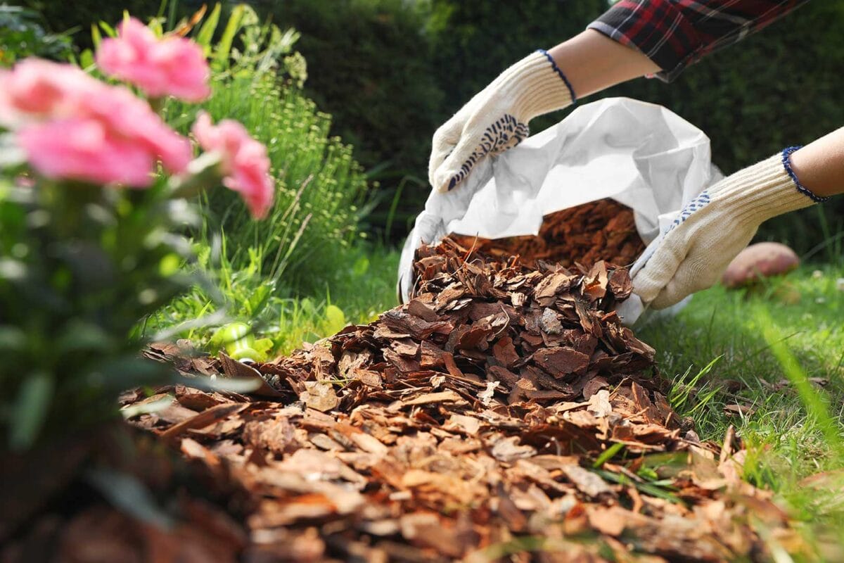 Landscape Products Packaging Automation | PASCO®